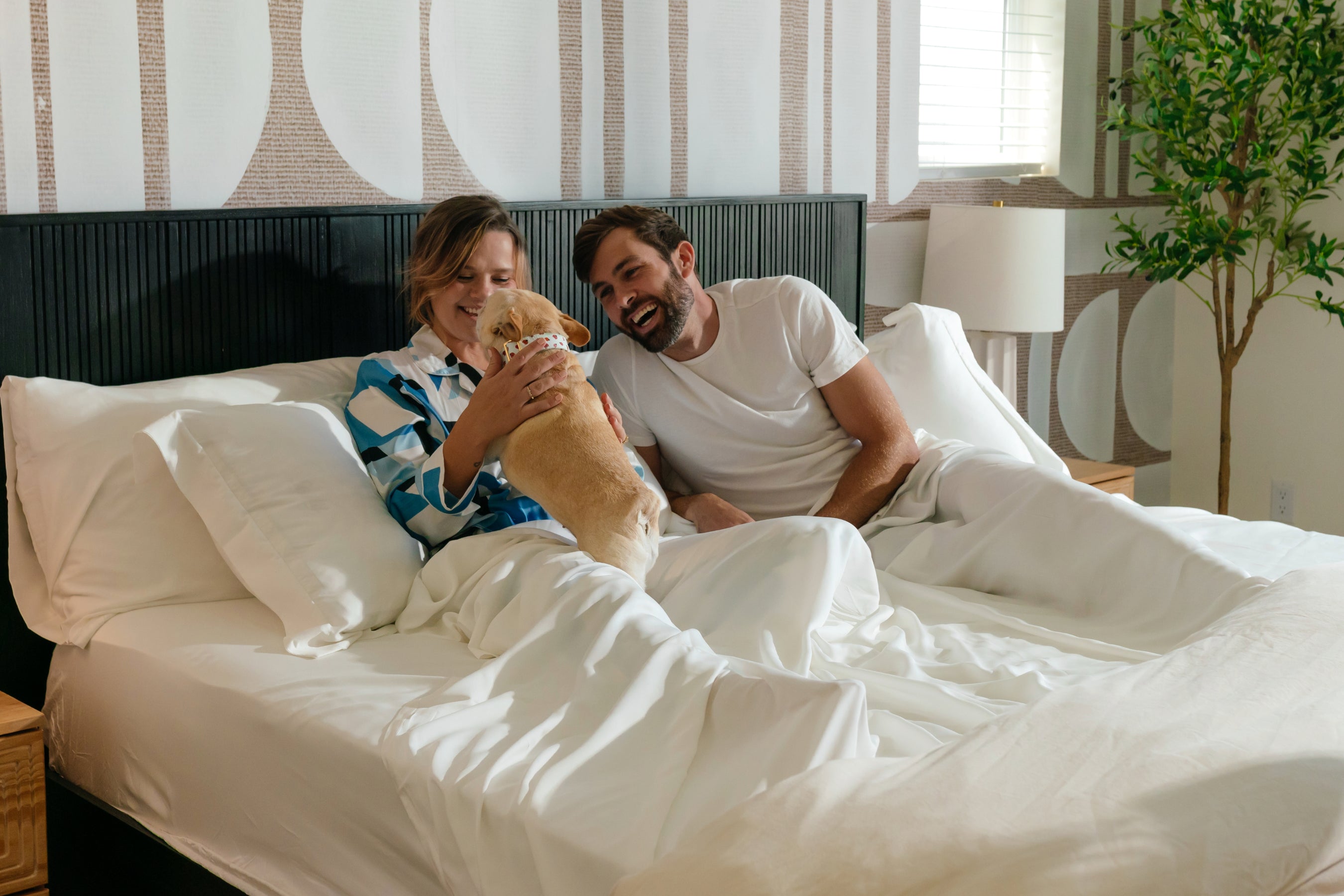 Pure Beech vs BleuBully – BleuBully Bedding